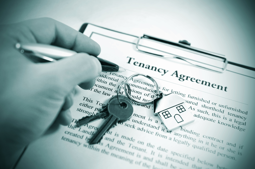 Landlord and Tenant Matters: A Case Study | SV Law | SV Law